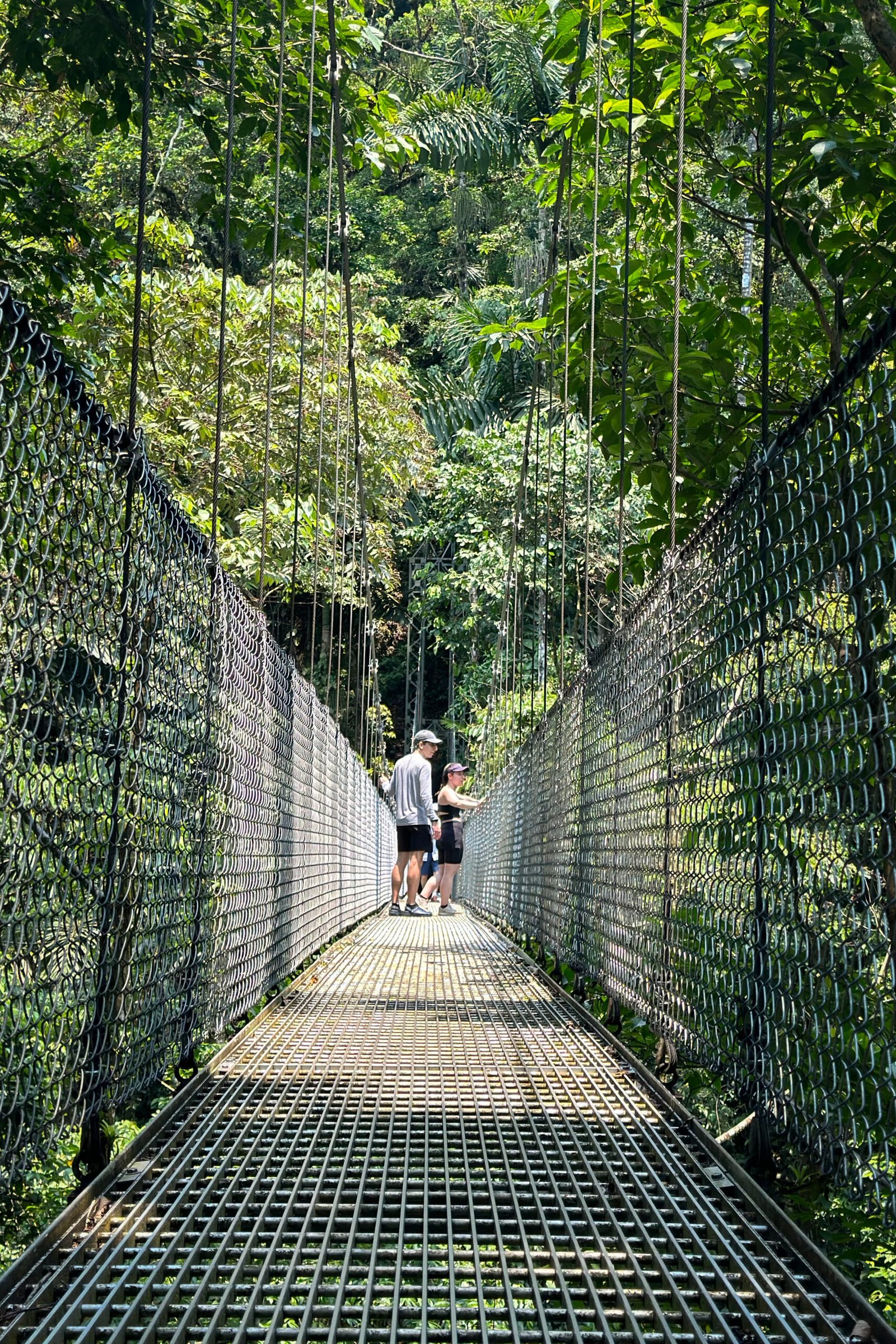 Where Are the Hanging Bridges in Costa Rica? - Tropiexplore CR